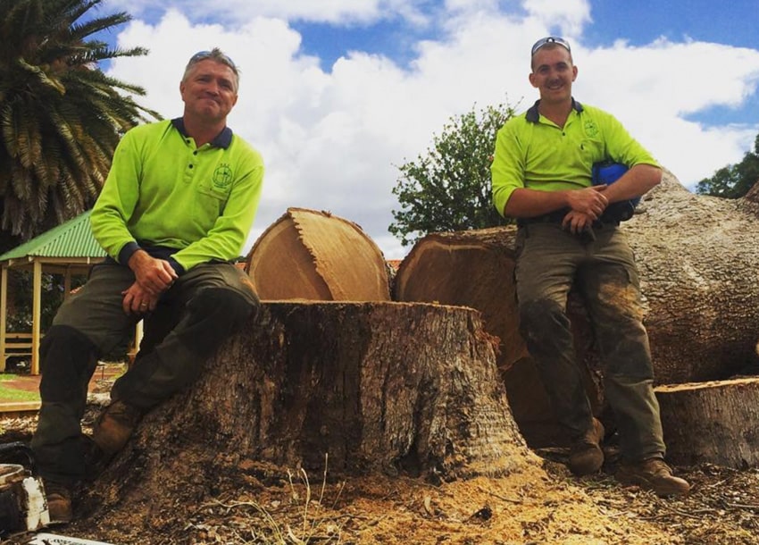 About Us | Perth Arbor Services